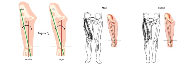Angulo Q Genu Valgo